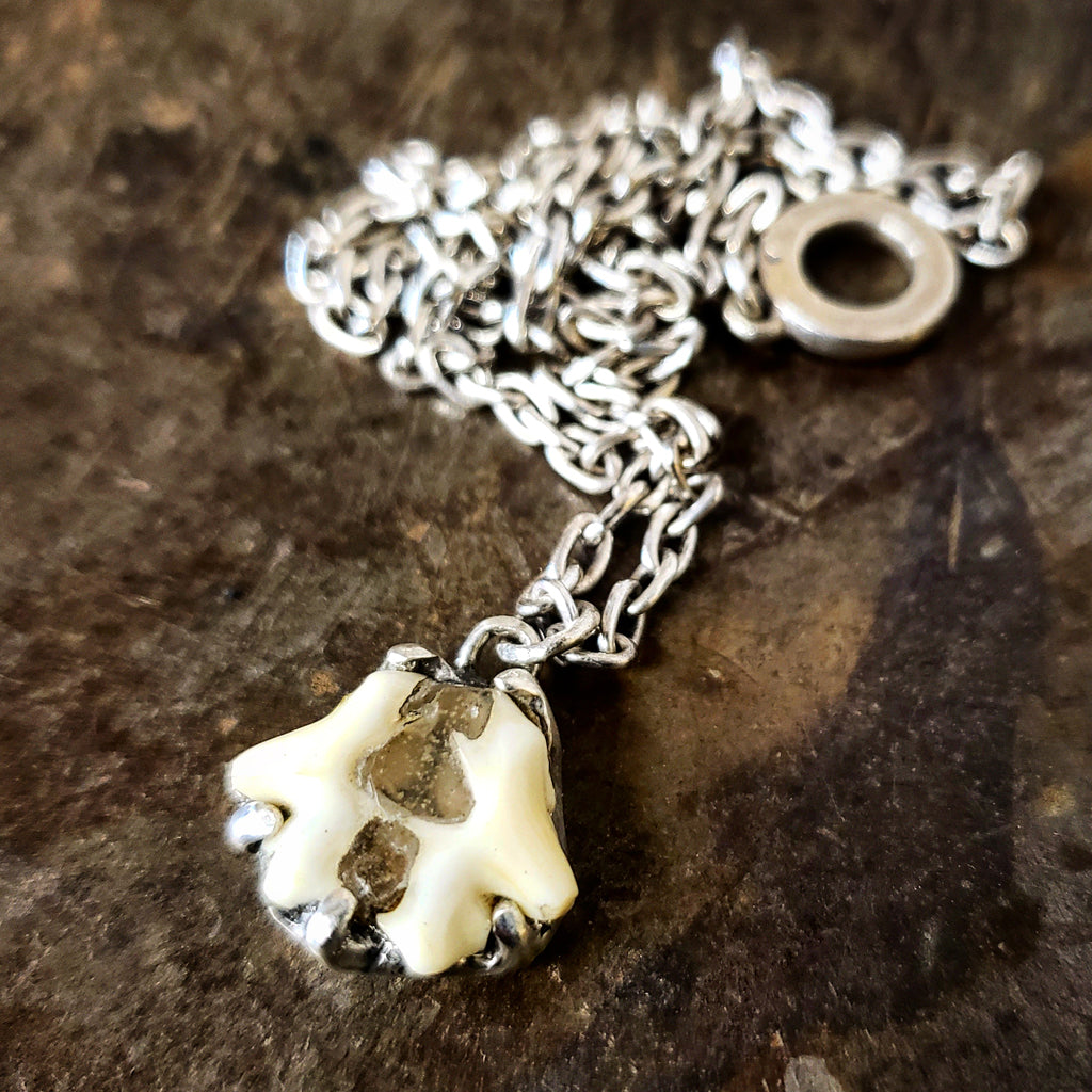 Puppy Molars – Spragwerks